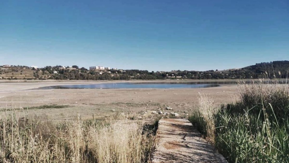 Il Lago di Pergusa sta scomparendo: l'allarme lanciato da Italia Nostra